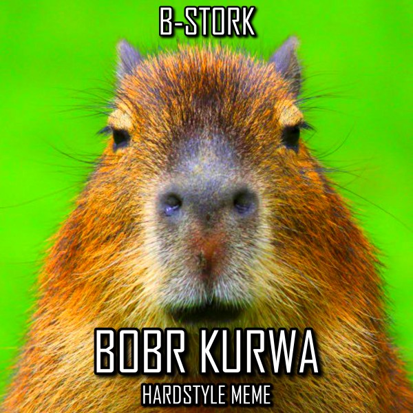 B-Stork - Bobr Kurwa (Hardstyle Meme) on Traxsource